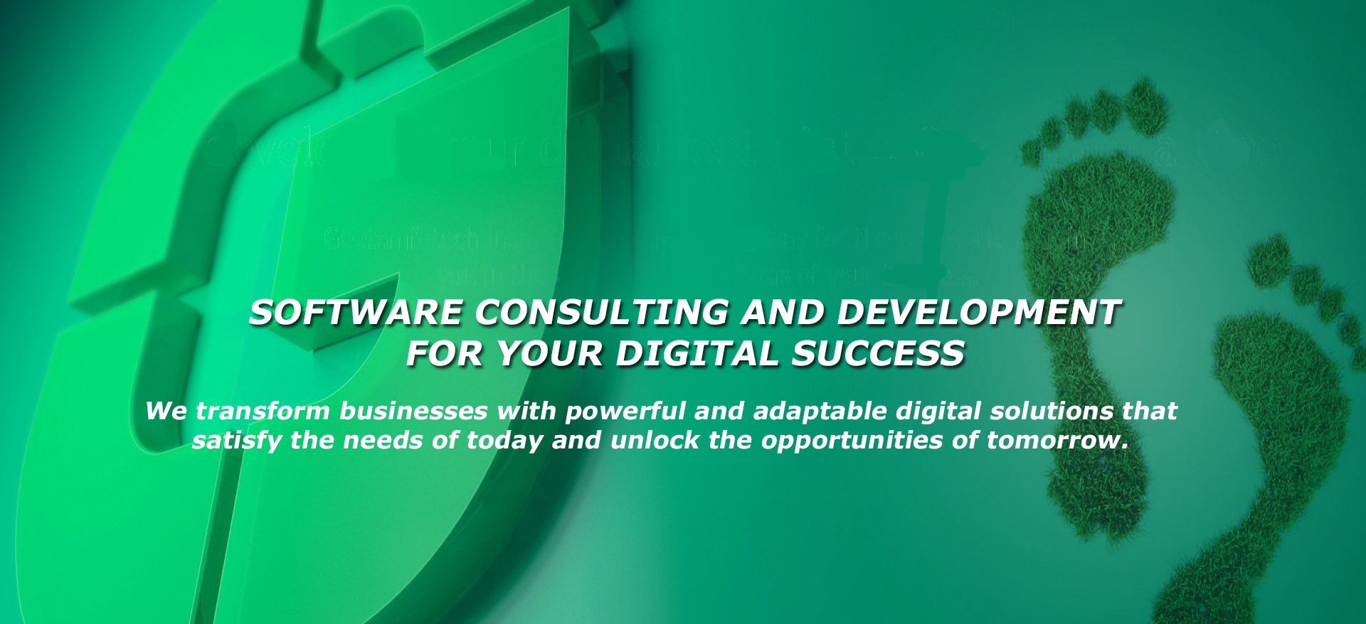 Geeta Infotech India